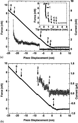 Solvation and squeeze out of hexadecane on graphite | The Journal of ...