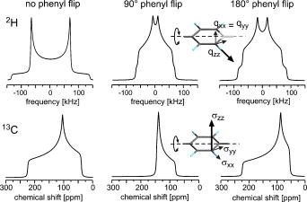 Geometry of phenylene motion in polycarbonate from NMR spectroscopy and ...
