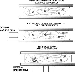 Rotating magnetic particle microrheometry in biopolymer fluid dynamics ...