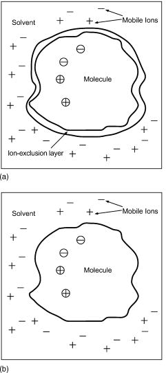 Treatment of charge singularities in implicit solvent models | The ...