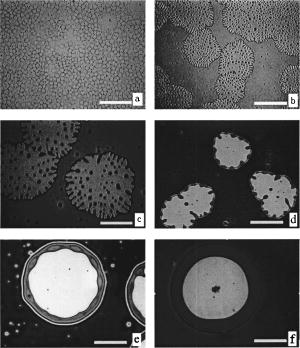 Rim instability by solvent-induced dewetting | The Journal of Chemical ...