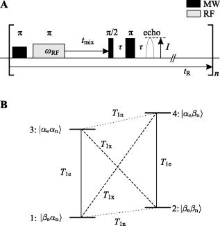 Ligand protons in a frozen solution of copper histidine relax via a T1e ...