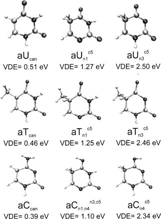 Photoelectron spectroscopy of adiabatically bound valence anions of ...