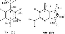 Base-pair interactions in the gas-phase proton-bonded complexes of C+G ...