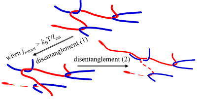 New theoretical considerations in polymer rheology: Elastic breakdown ...
