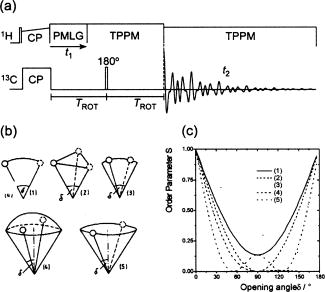 Intermediate motions as studied by solid-state separated local field ...