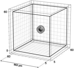 Intermolecular zero-quantum coherence NMR spectroscopy in the presence ...