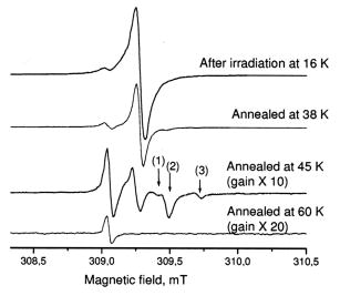 Hydrogen atoms in solid xenon: Trapping site structure, distribution ...