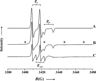 EPR and IR spectra of the FSO3 radical revisited: Strong vibronic ...