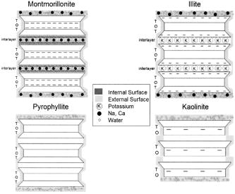 Translational diffusion of water and its dependence on temperature in ...