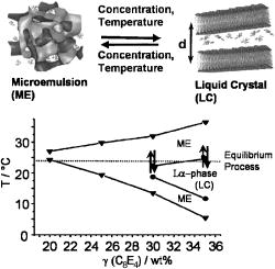 On the mechanism of photoinduced phase transitions in ternary liquid crystal systems near ...
