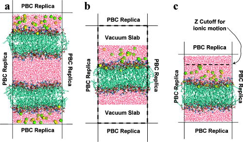 Salt induced asymmetry in membrane simulations by partial restriction ...