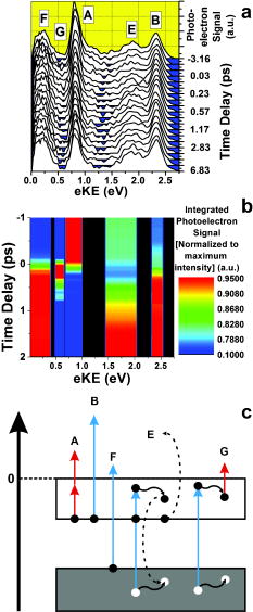 Auger recombination and excited state relaxation dynamics in Hgn− (n=9 ...