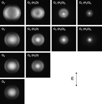 Photodetachment, photofragmentation, and fragment autodetachment of ...