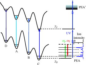 Raman spectral signatures as conformational probes of gas phase ...