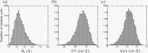 A theoretical analysis on characteristics of protein structures induced ...