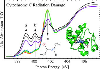 Radiation damage in biomimetic dye molecules for solar cells | The ...