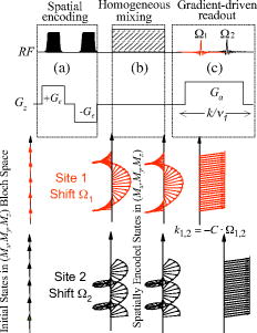 Spatial/spectral encoding of the spin interactions in ultrafast multidimensional NMR | The ...