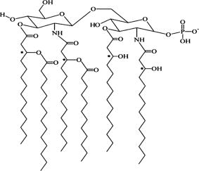 Two new colloidal crystal phases of lipid A-monophosphate: Order-to ...