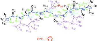 Network of hydrogen bonds in Pro-Ala-Pro and Pro-Phe-Pro diamides: A ...