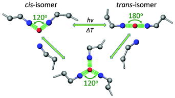 Cis-trans switchable metallosupramolecular polymers: Computer modeling ...