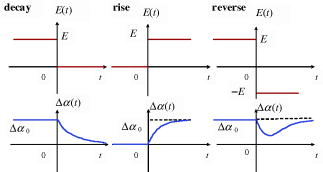 Matrix method calculation of the Kerr effect transient and ac ...