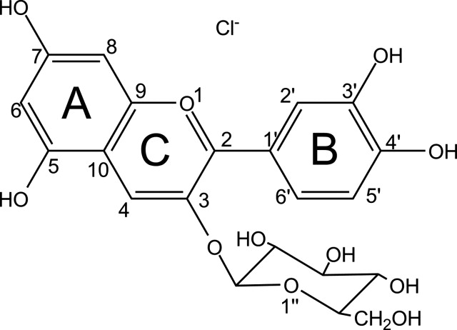 Hydration of cyanin dyes | The Journal of Chemical Physics | AIP Publishing