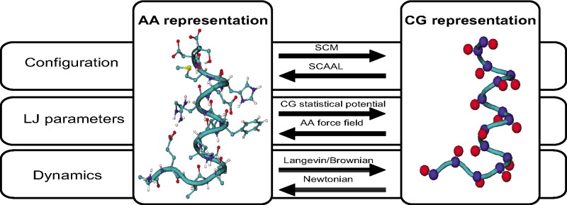 Multiscale investigation of chemical interference in proteins | The ...