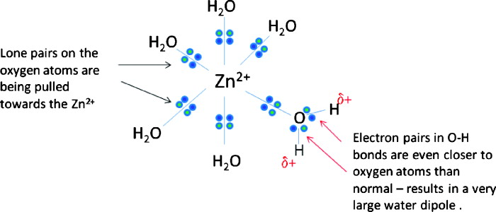 Structure and dynamics of the hydration shells of the Zn2+ ion from ab ...