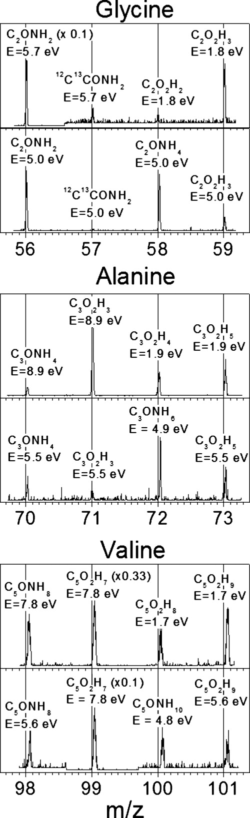 High resolution mass analysis of N- and C-terminal negative ions ...