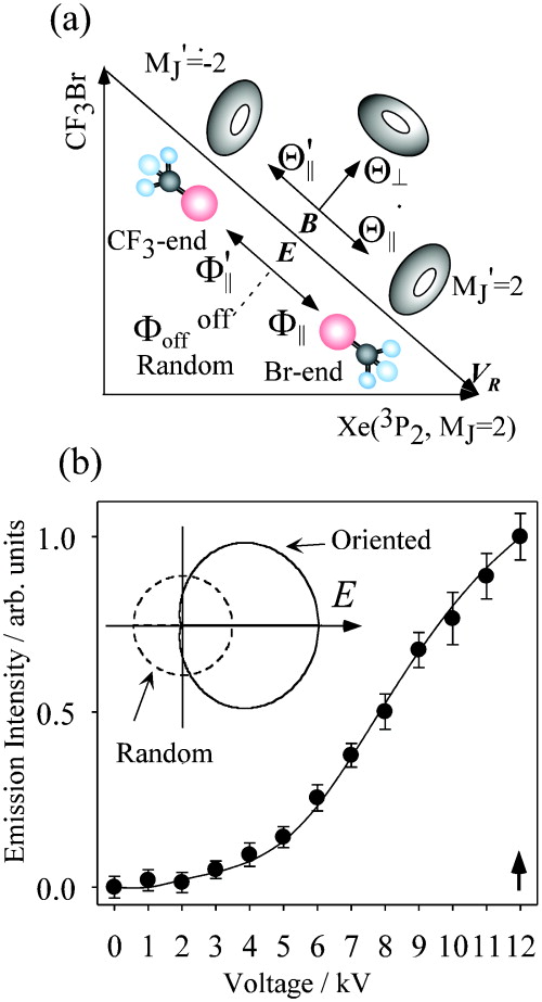 Multidimensional steric effect for the XeBr∗ (B, C) formation in the ...