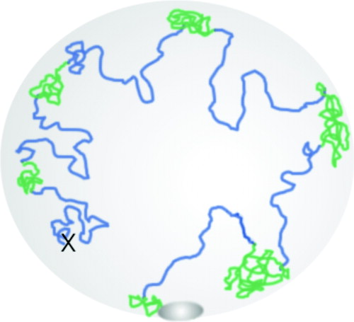 Narrow-escape times for diffusion in microdomains with a particle ...