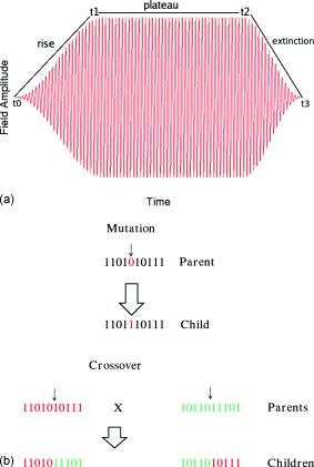 Genetic algorithm optimization of laser pulses for molecular quantum state excitation | The ...