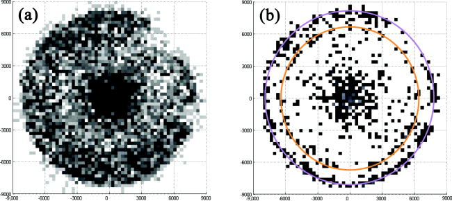Search for Br∗ production in the D+DBr reaction | The Journal of ...