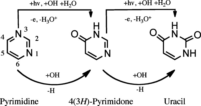 Mechanism for the abiotic synthesis of uracil via UV-induced oxidation ...
