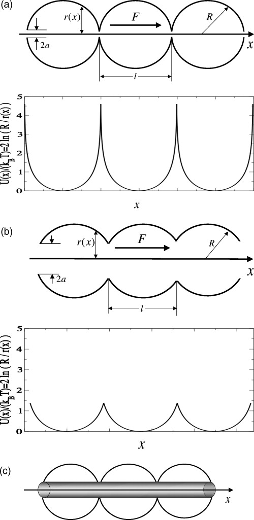 Biased diffusion in tubes formed by spherical compartments | The ...