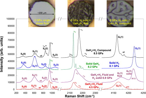 Vibrational dynamics, intermolecular interactions, and compound ...