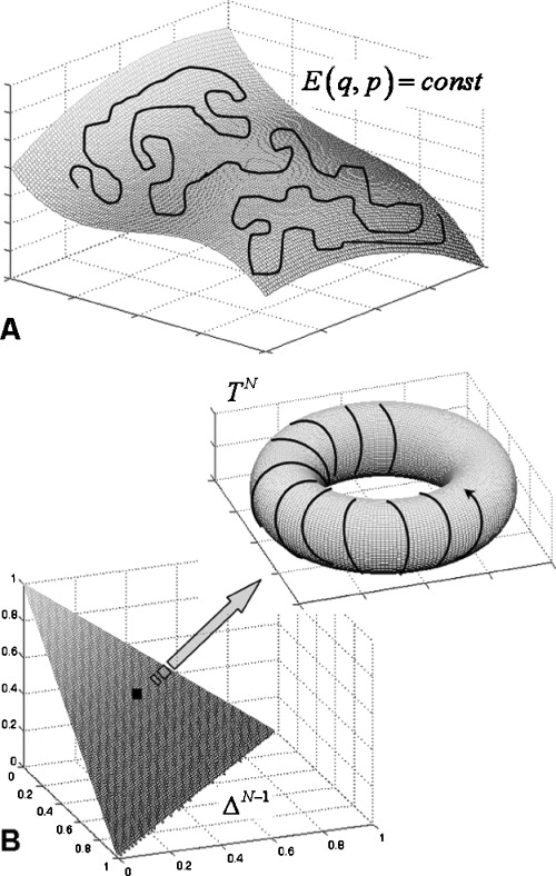 Emergence of equilibrium thermodynamic properties in quantum pure ...