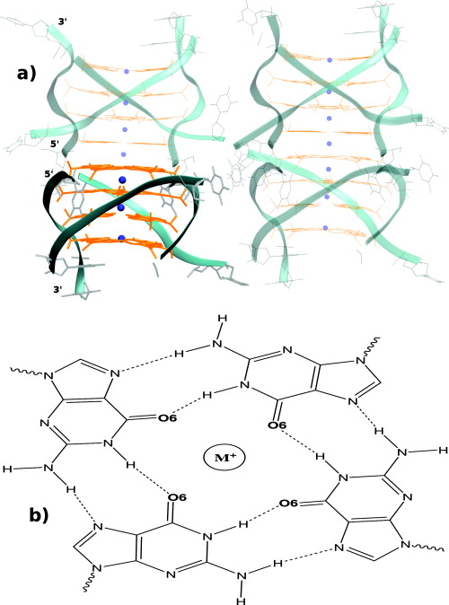 Structural stability versus conformational sampling in biomolecular ...