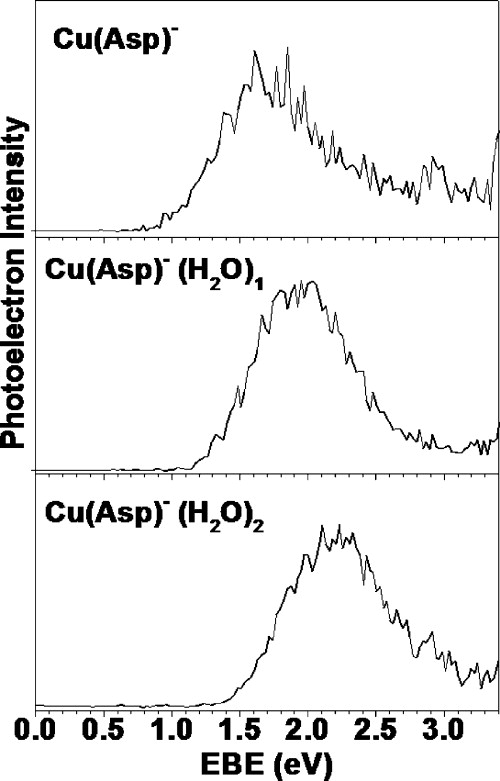 Negative ion photoelectron spectroscopy of the copper-aspartic acid ...