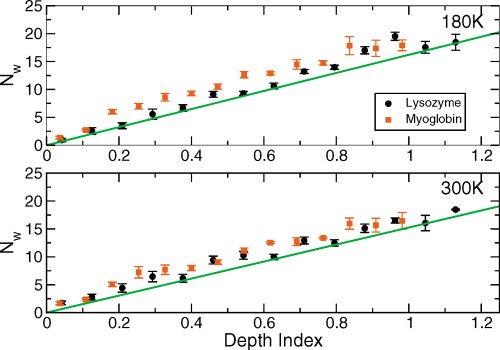 Depth dependent dynamics in the hydration shell of a protein | The ...
