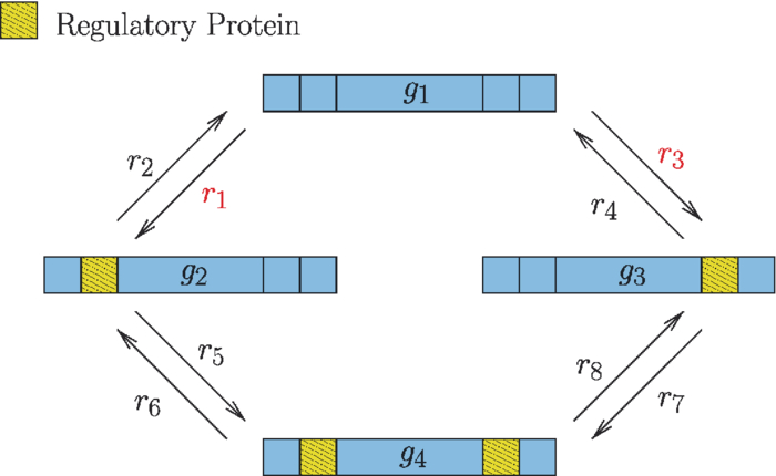 The Stochastic Quasi Steady State Assumption Reducing The Model But