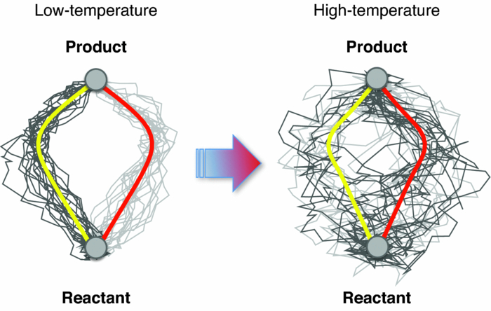 Fluctuations in the ensemble of reaction pathways | The Journal of ...
