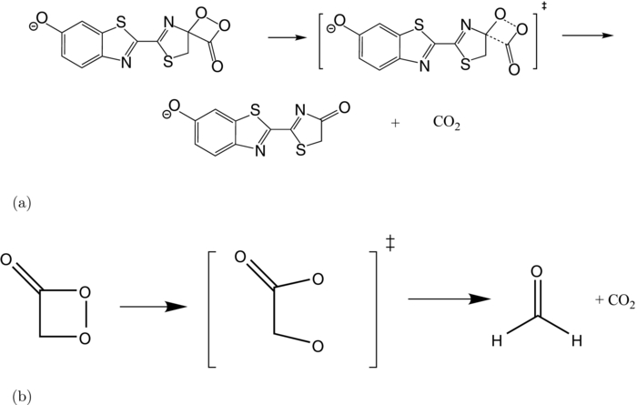 Balancing single- and multi-reference correlation in the ...