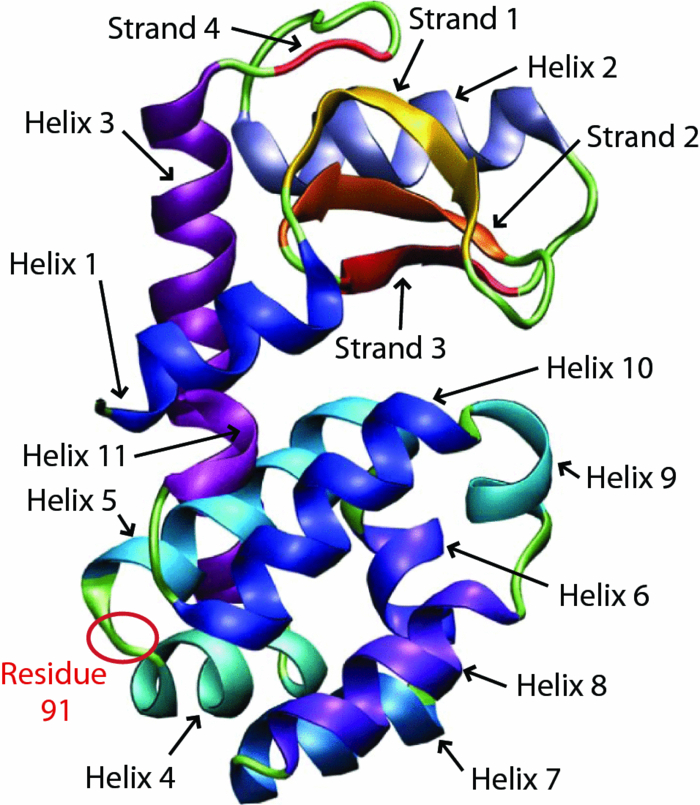 Effects of tethering a multistate folding protein to a surface | The ...