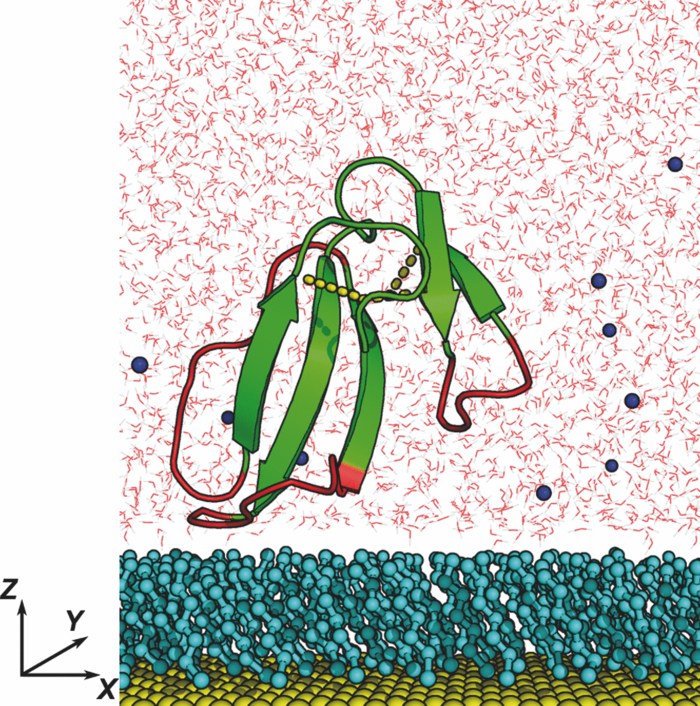 Dynamic information for cardiotoxin protein desorption from a methyl ...