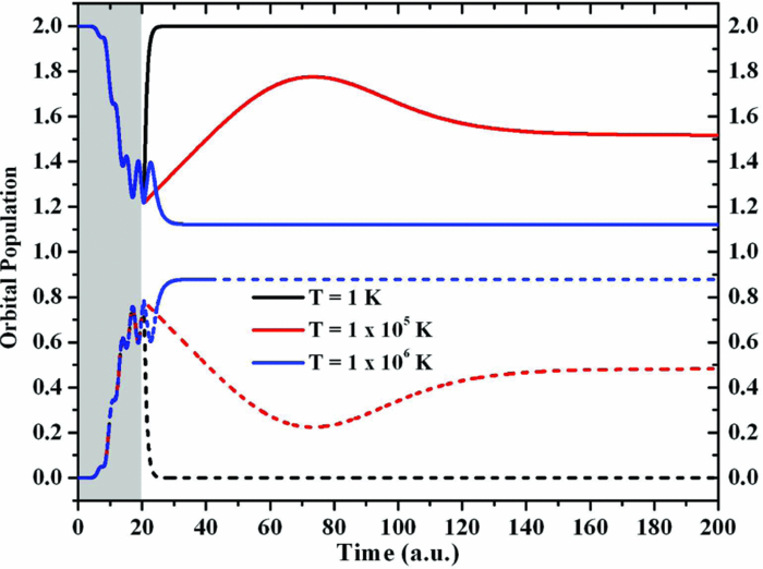 Open-system electronic dynamics and thermalized electronic structure ...