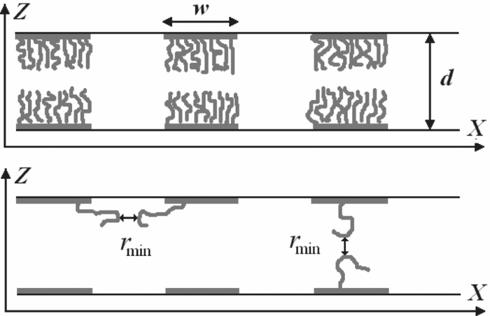 Nanostructures in a binary mixture confined in slit-like pores with walls decorated with ...