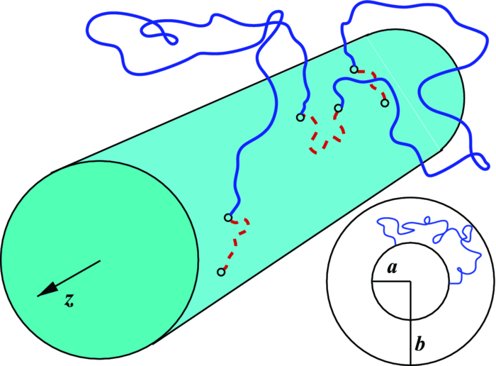 Effective surface motion on a reactive cylinder of particles that ...
