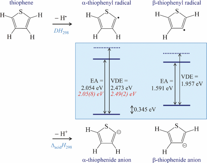 Electronic states of thiophenyl and furanyl radicals and dissociation ...